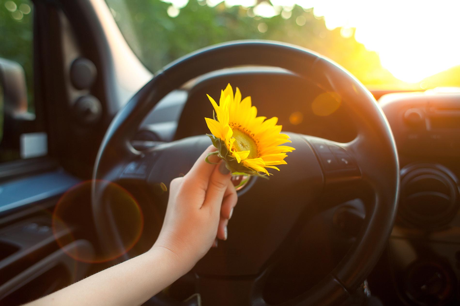 Time for a spring tune up? - Advance Auto Service